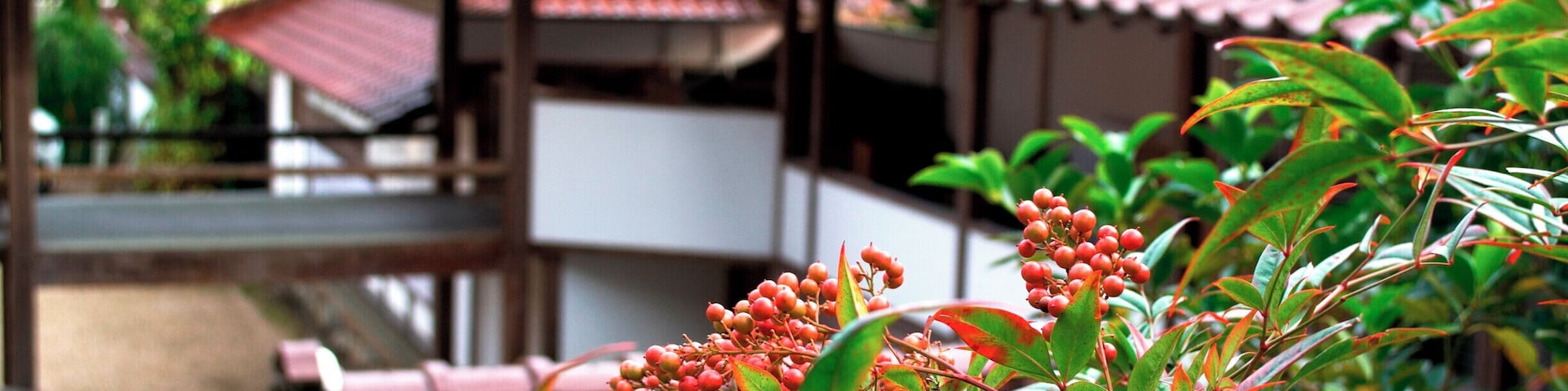 I love the architecture of Japanse temples.
If you're ever in Okayama, I suggest a drive through the kaga district and a visit to Enjoji