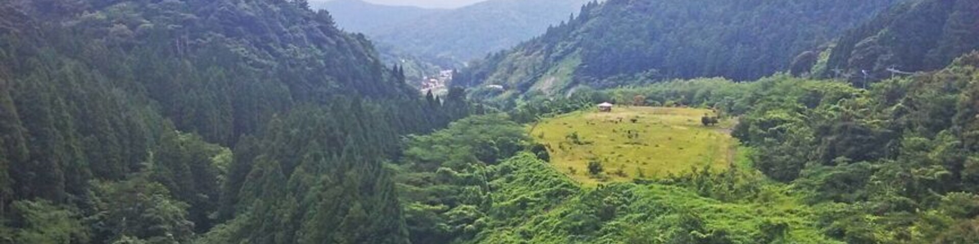 Um vale com floresta densa, um caminho sinuoso e um pequeno povoado ao longe.