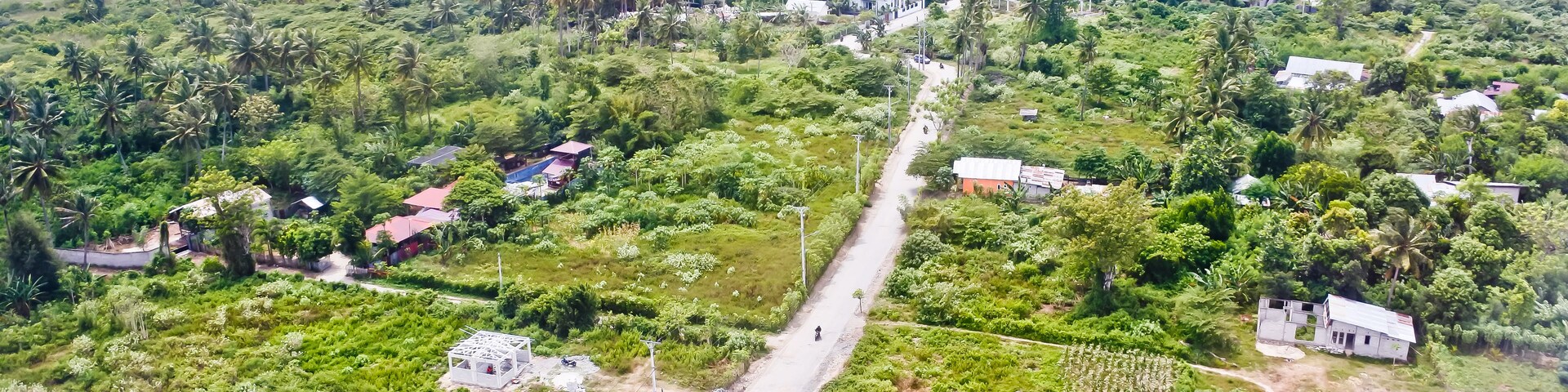 Paisagem rural com casas espalhadas, vegetação densa e estrada sinuosa.
