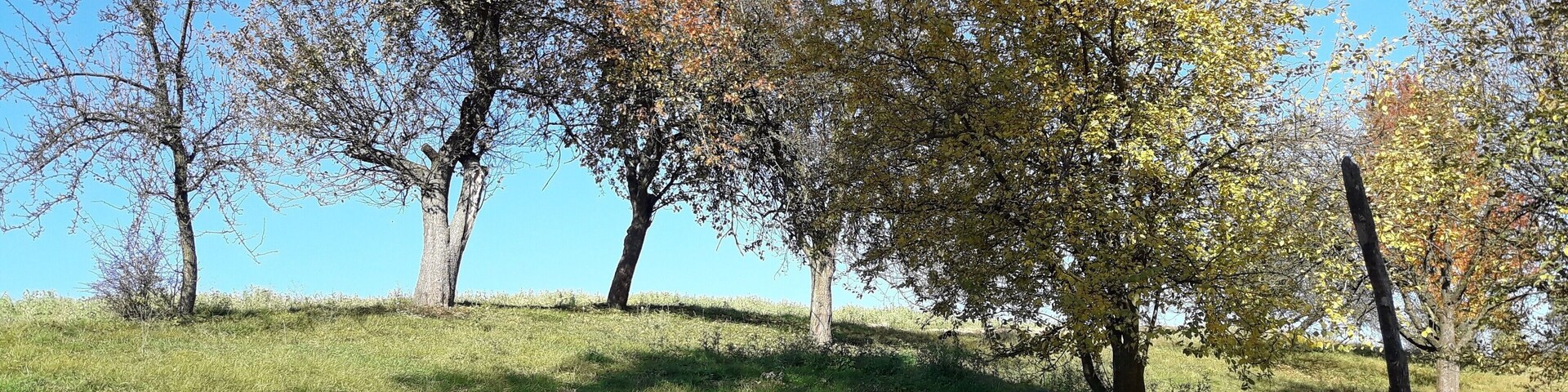 Countryside in Poland. It's my childhood memory #orchard #LifeAtExpedia In the middle of nowhere...