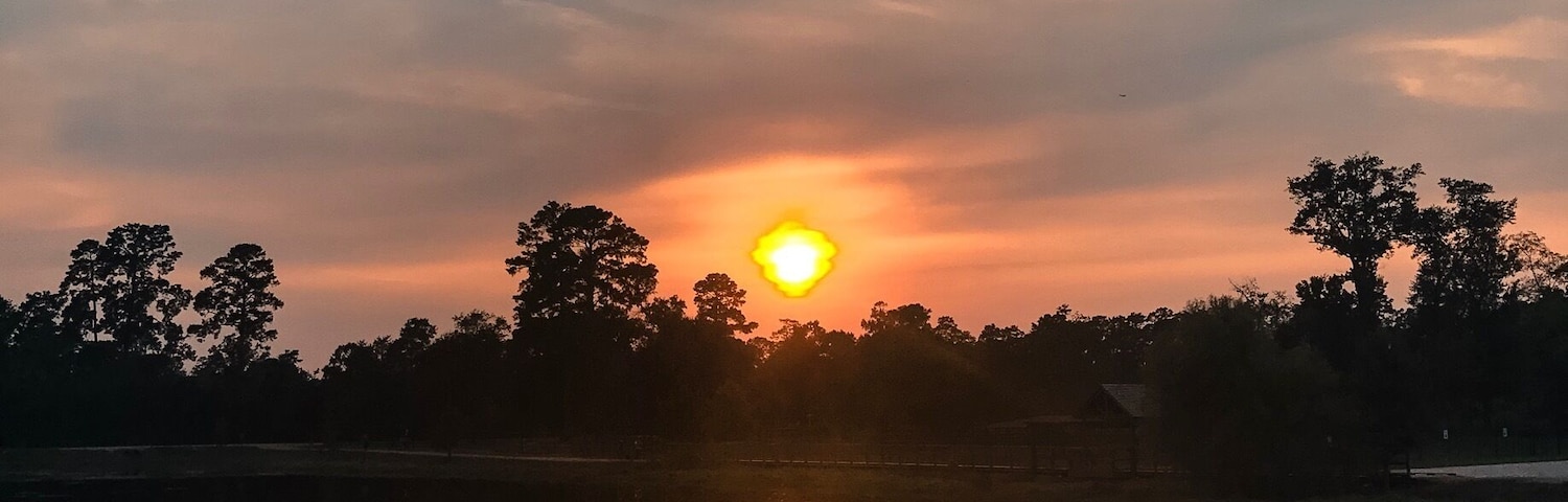 Sunsets are my favorite.