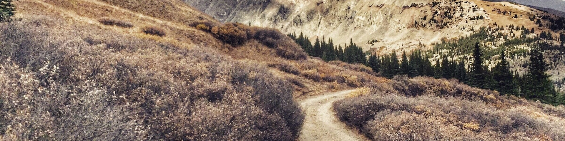 View to Quandary Peak, one of CO's 14ers. October 2016.