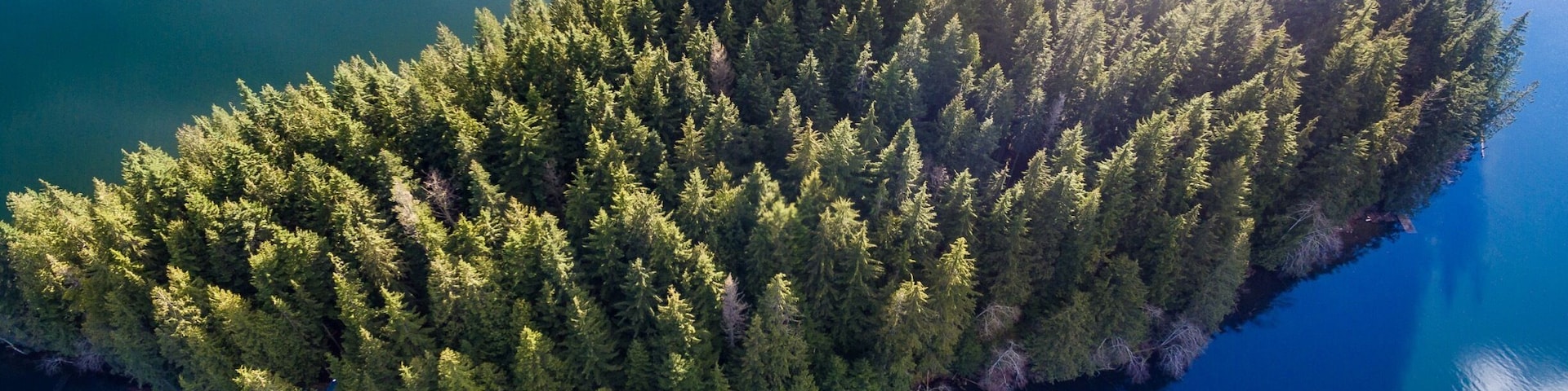 I love the vibrant #green I found on this little island! Such a cool place!