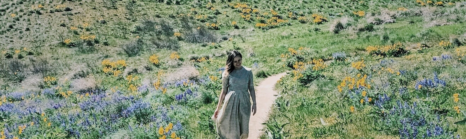 Eastern Washington is blooming! Sage Hills trails in Wenatchee are absolutely stunning this time of year. The hills are covered with wildflowers and the trails are very easy to navigare.