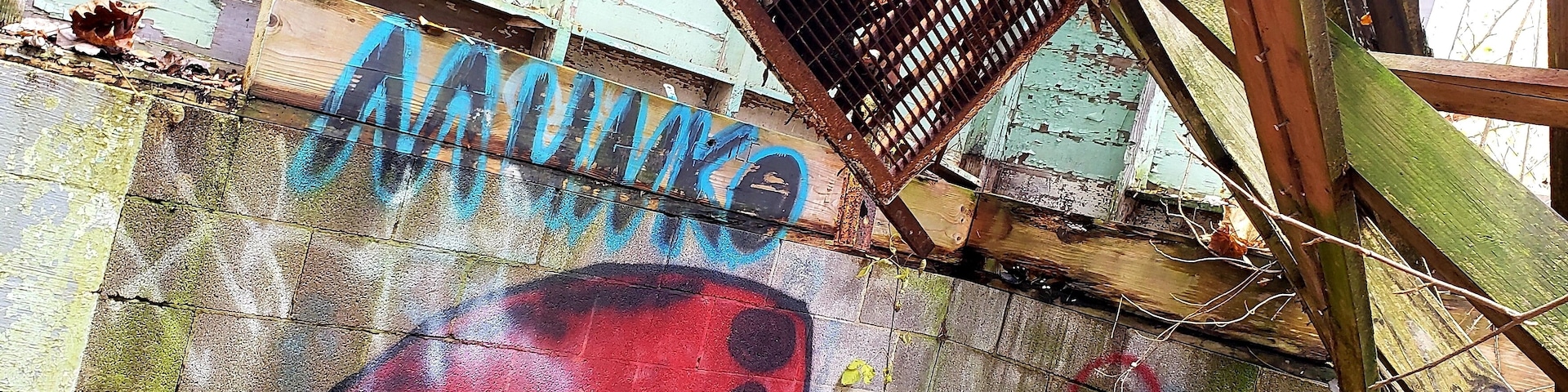 Red whale tucked away inside an abandoned building