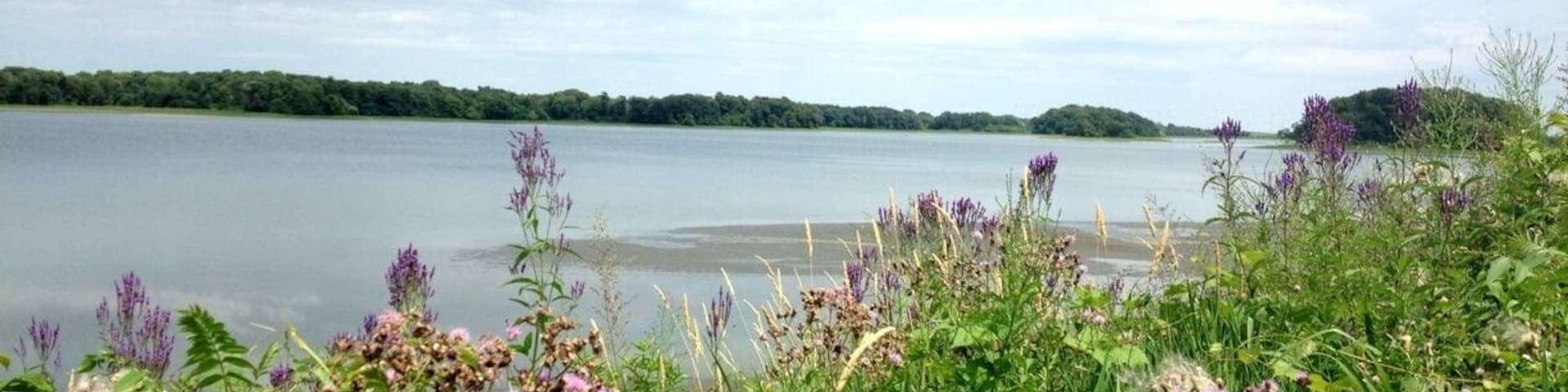 Small park and picnic spot on the shoreline of Rice Lake. Nice looking golf course nearby.