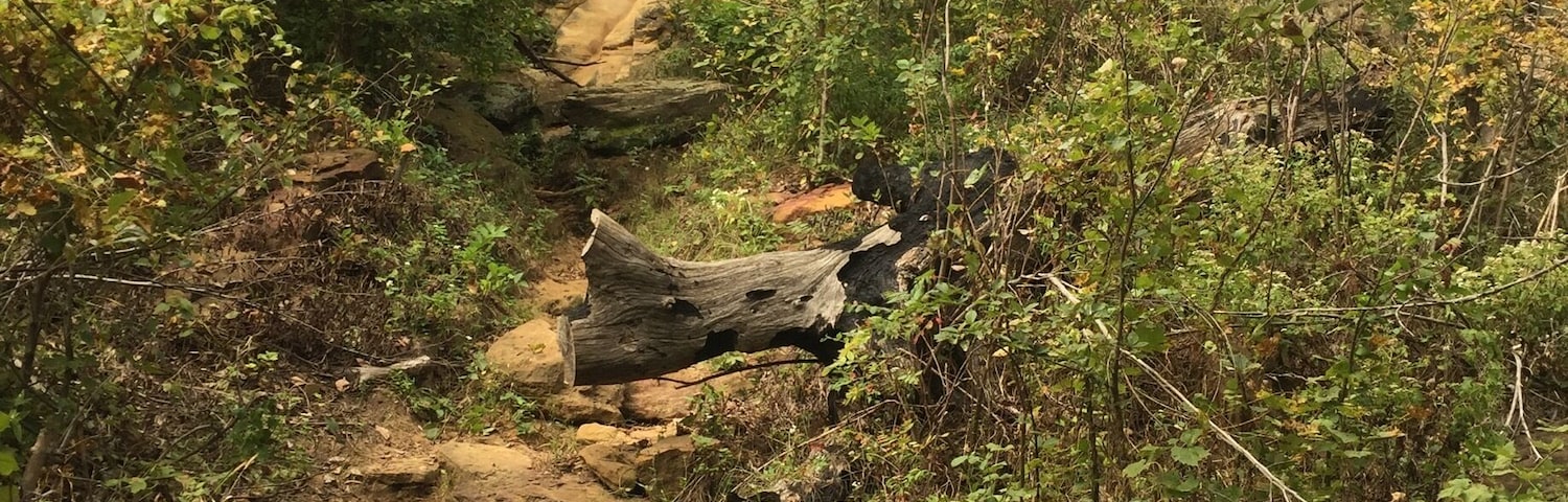 One of the caves in the cliffs at Horse Thief Canyon