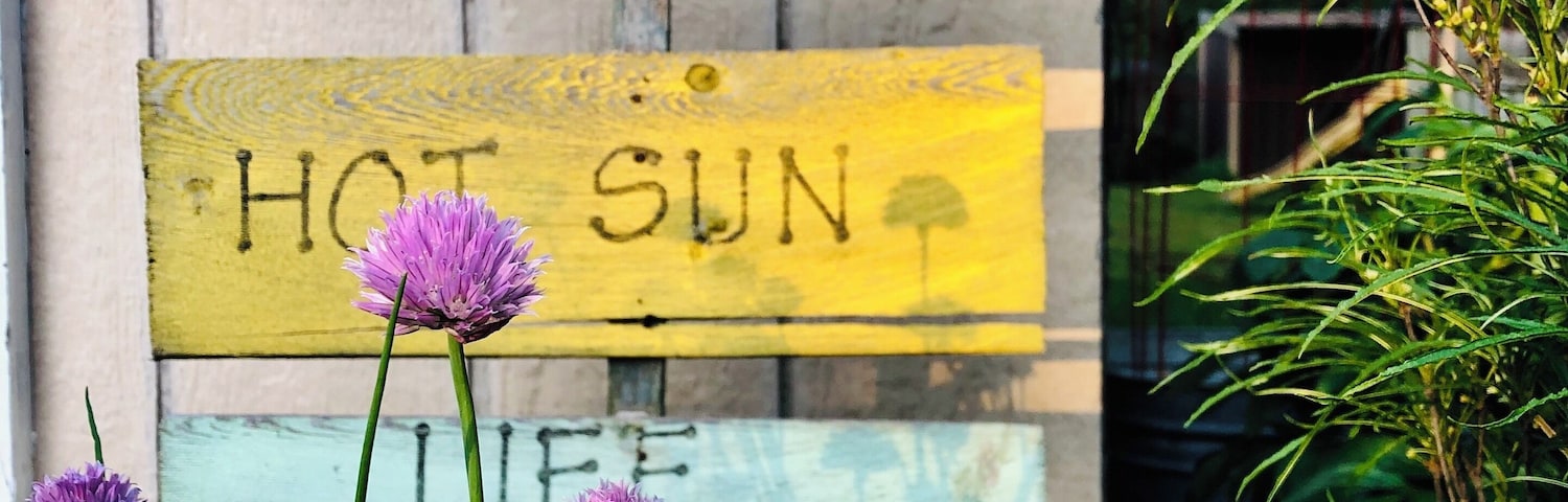 I just loved how the sun placed the shadows of the flowers on the sun sign.