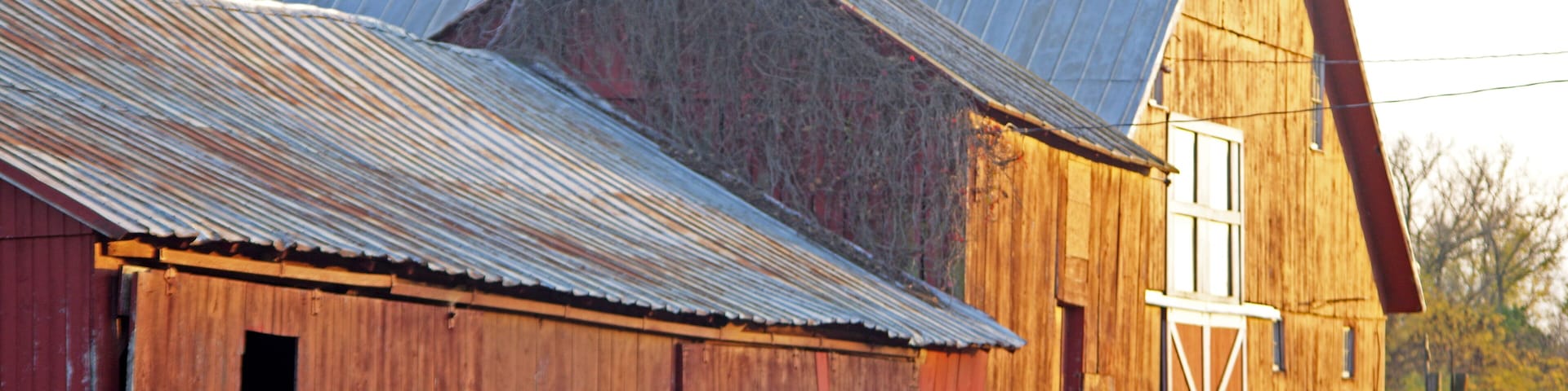 Nothing says American Heartland like a barn - a red barn. Unfortunately you see fewer and fewer as farms elect to put up pole barns. Easier to construct and cheaper to maintain.