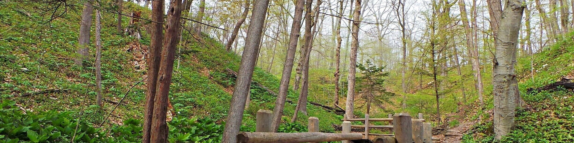 Seven bridges is a great park just to get away for a few hours.