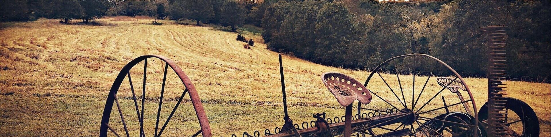 Just part of the beautiful land in the small Missouri town.