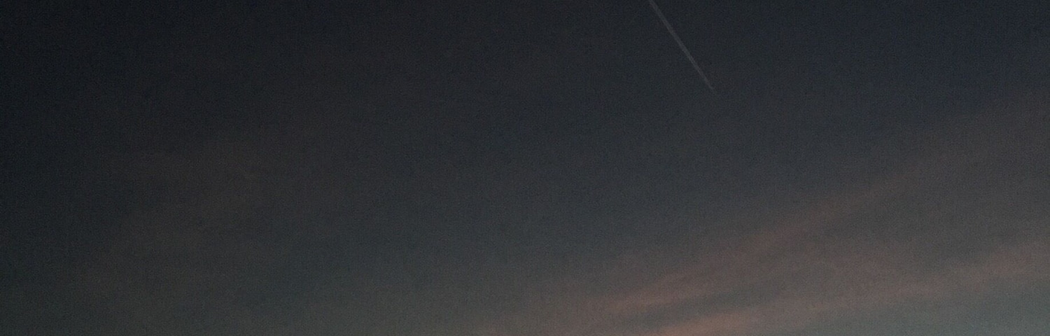 Cow and a Planet🌎