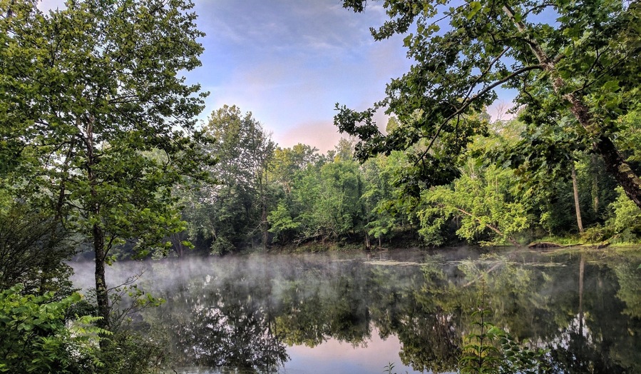 Early morning mist hovering the water.