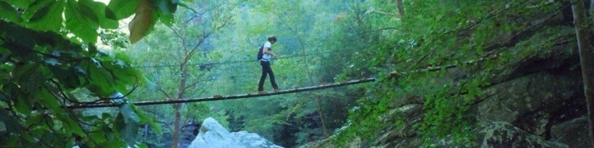 Uma pessoa caminhando sobre uma ponte de corda sobre um riacho em área arborizada com pedras grandes e árvores.