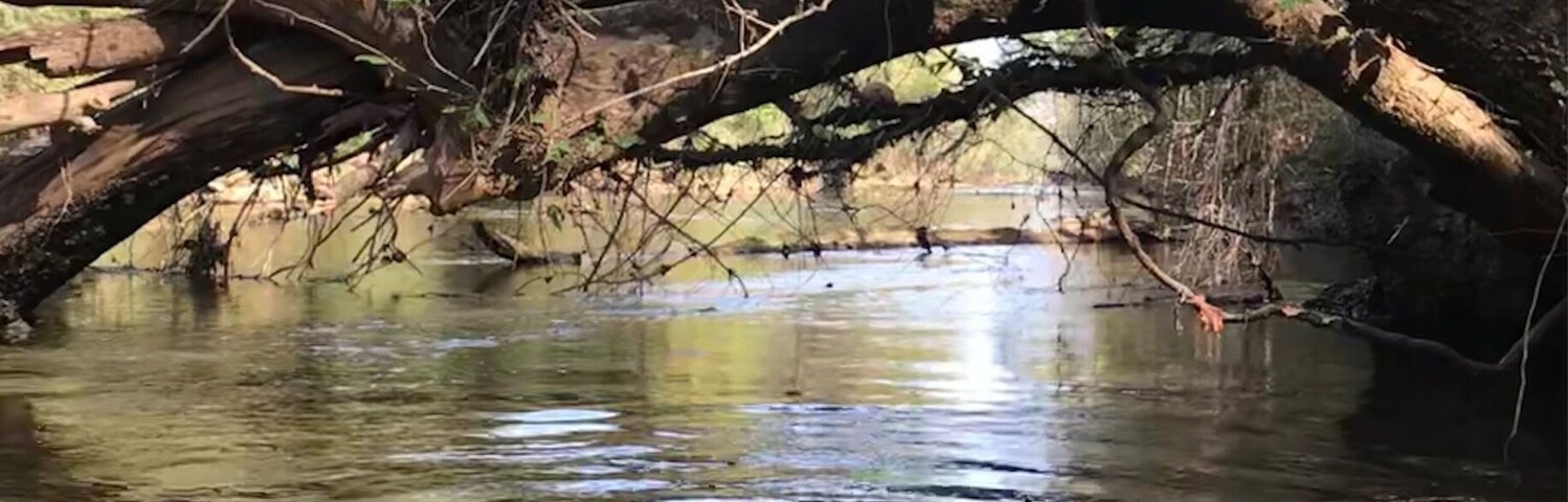 I would not recommend doing a kayak paddle here because the water is just too shallow