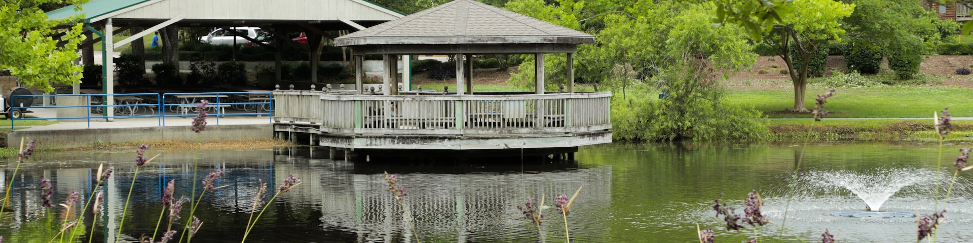 McLean Park which includes a fountain and a pond