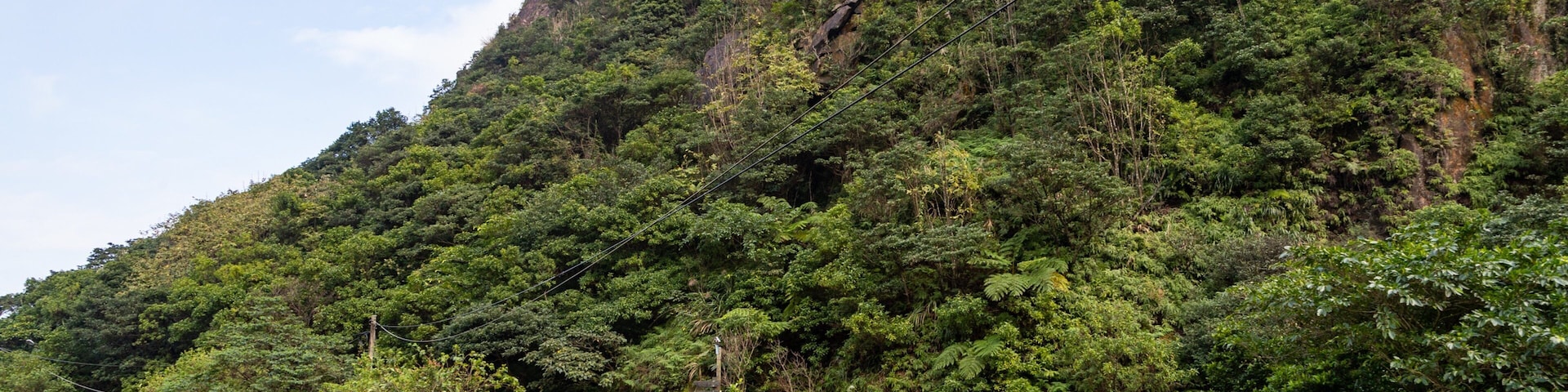 Uma ponte de madeira com pessoas caminhando, cercada por uma floresta verdejante e uma montanha íngreme.