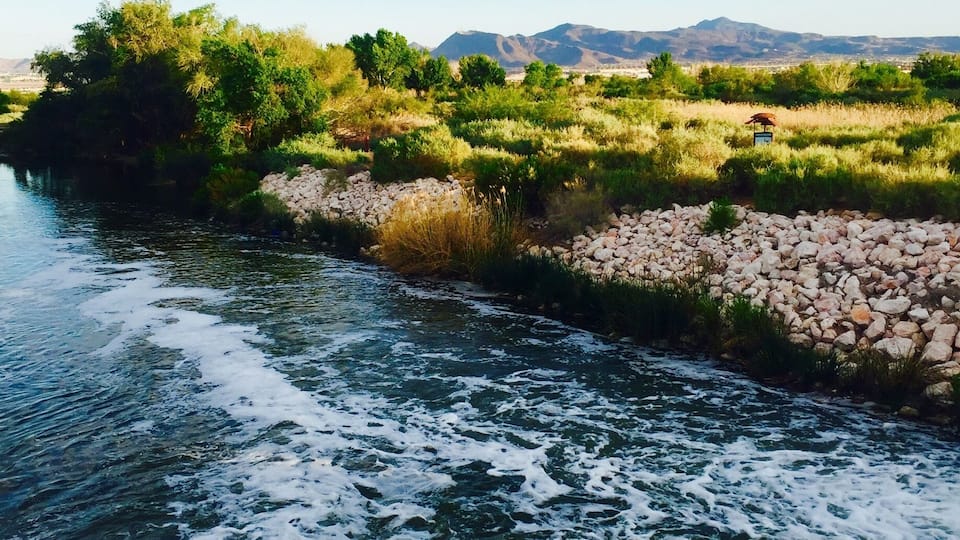 Gorgeous clear day for a walk at wetlands park.