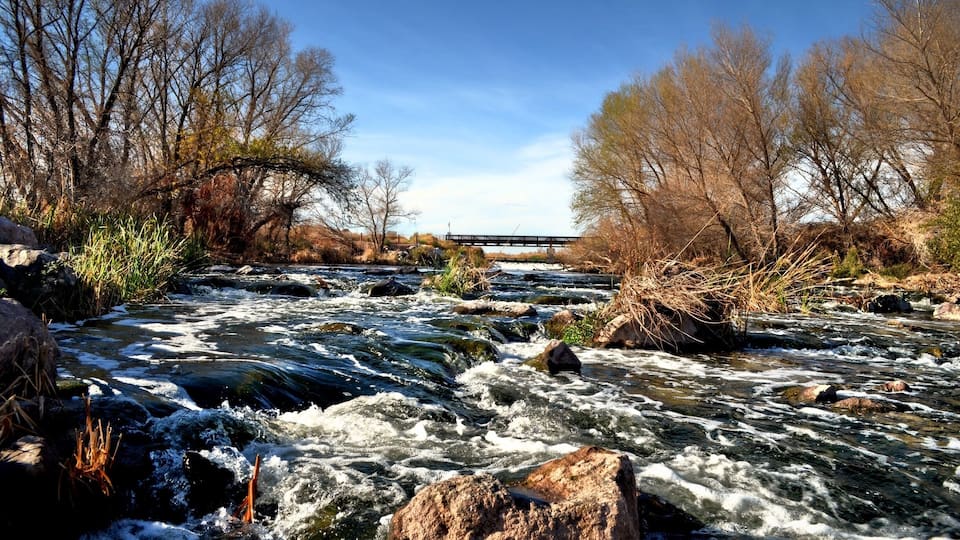 At the edge of town the Clark County Wetlands Park offers many trails to explore. There are over 300 species living in the park.
