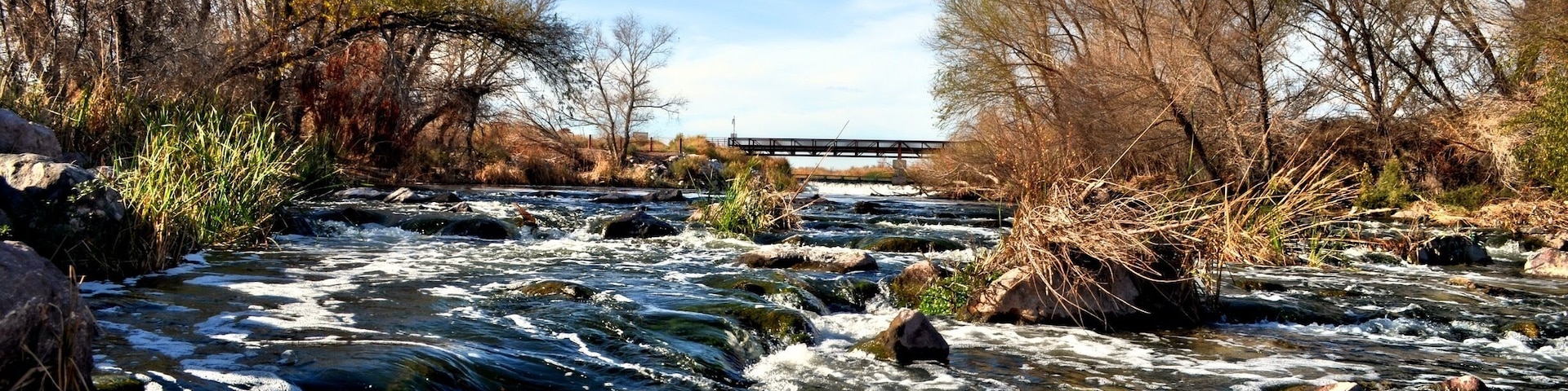 At the edge of town the Clark County Wetlands Park offers many trails to explore. There are over 300 species living in the park.