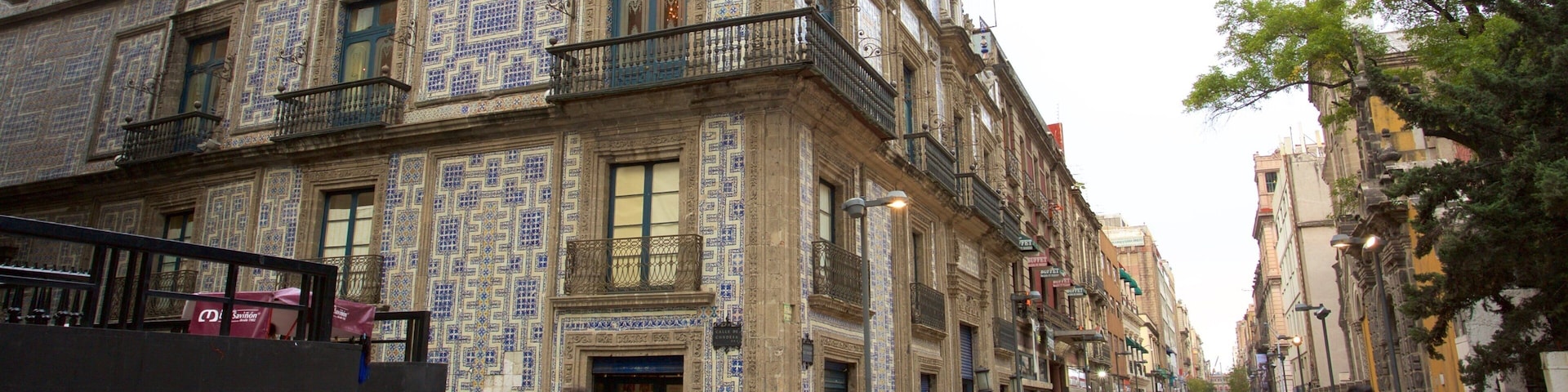 Mexico City featuring street scenes and heritage architecture as well as a large group of people