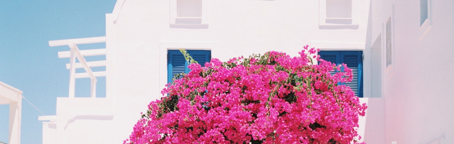 Um edifício branco com uma pérgula coberta de flores cor-de-rosa.
