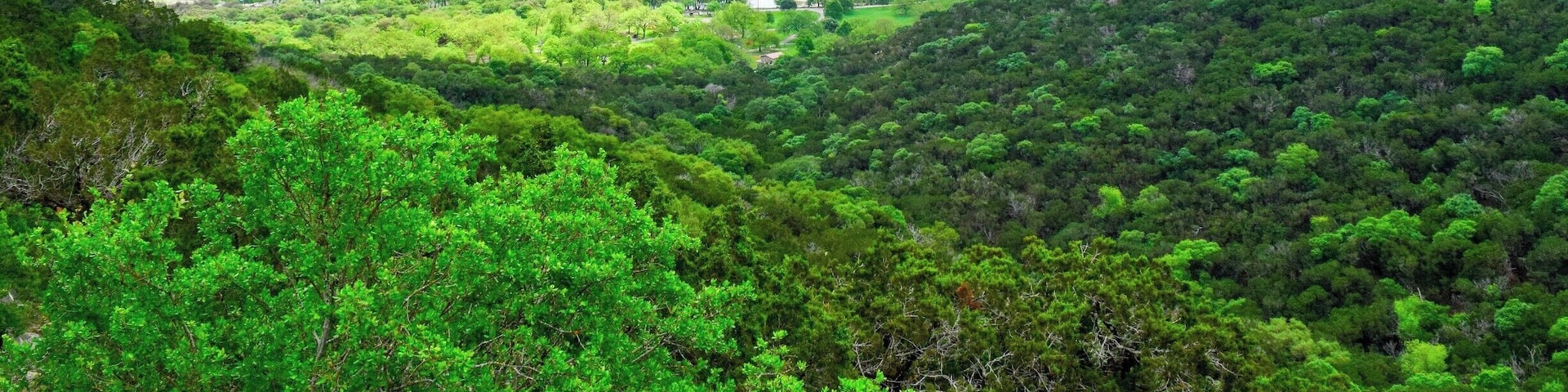 Friday Morning Hike at
Garner State Park
I believe this view is from Bird's Trail
