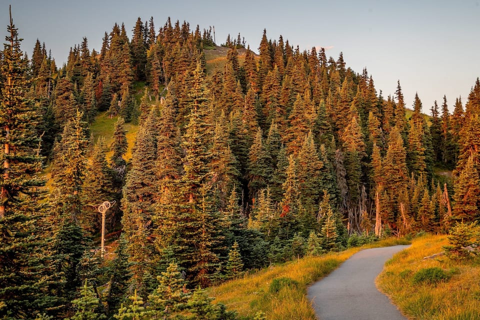 Paisagem montanhosa coberta por floresta com uma estrada sinuosa.