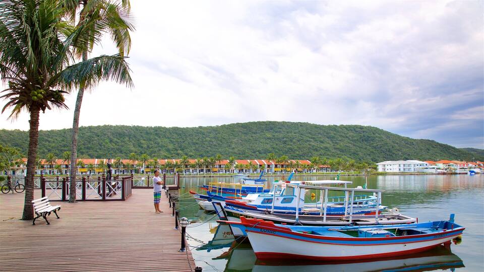 Cabo Frio que inclui uma baía ou porto assim como um homem sozinho