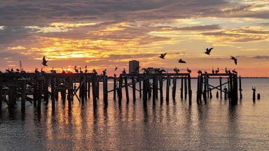 Um cais com aves voando durante o pôr do sol.