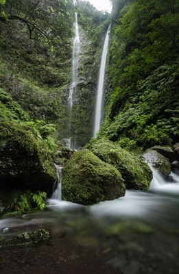 Levada do Caldeirão Verde for #BvS100K