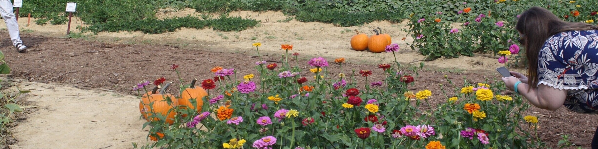 Fall & Garden Festival presented by the Mississippi State University Extension Service at their Truck Farm Experiment Station just south of Crystal Springs, Mississippi