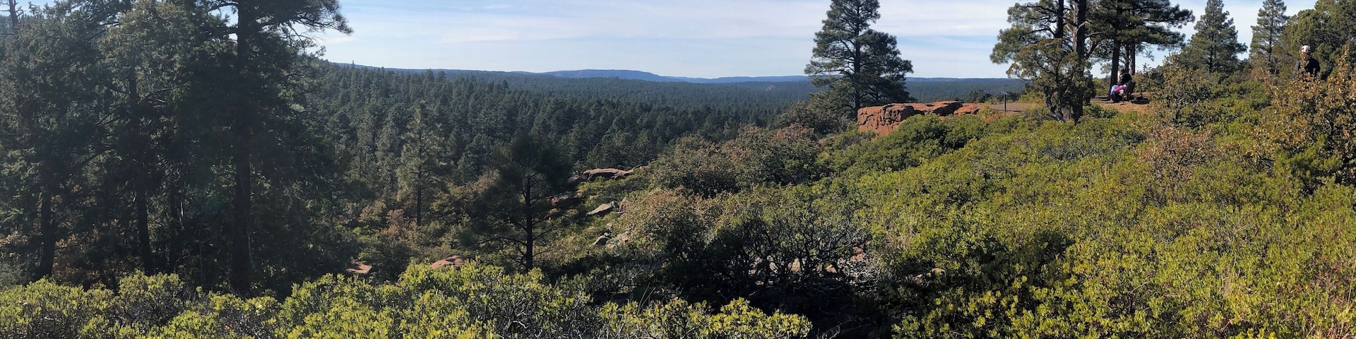 Took a short hike down the Mogollon Rim today. Very easy path, mostly paved, beautiful views