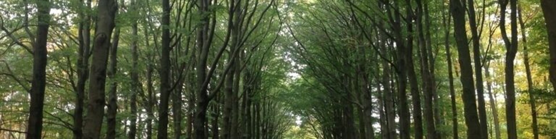 Gorgeous bike lane. find the bike!