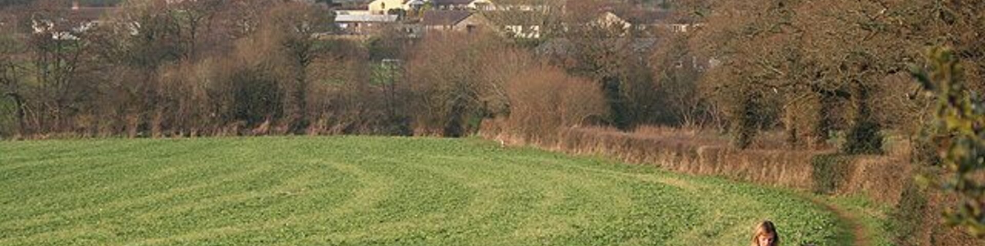 Uma família caminhando em um campo verde, com casas ao fundo.