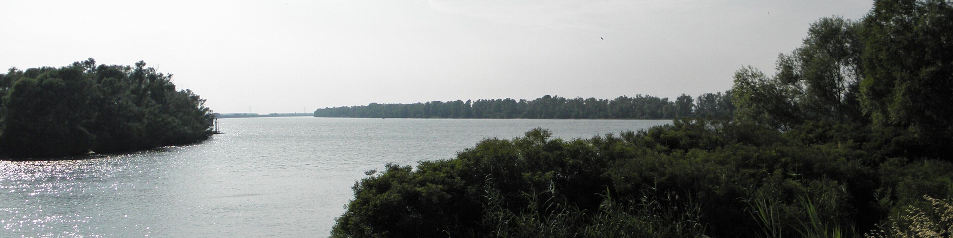 Porto Tolle: il Po di Gnocca in prossimità della sua diramazione dall'alveo principale (Po di Venezia).