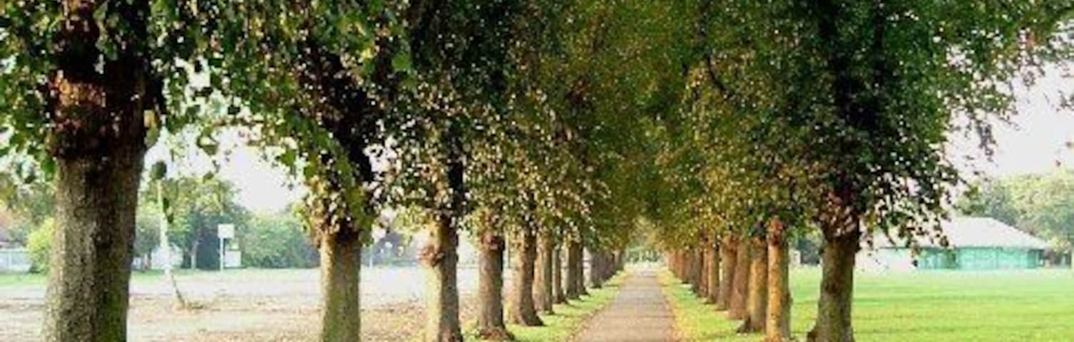 Goodmayes Park. Goodmayes Park is in two distinct halves to the north of Mayesbrook Road it is ornamental and to the south it is given over to sports fields. This picture was taken from the south west corner of the ornamental park.