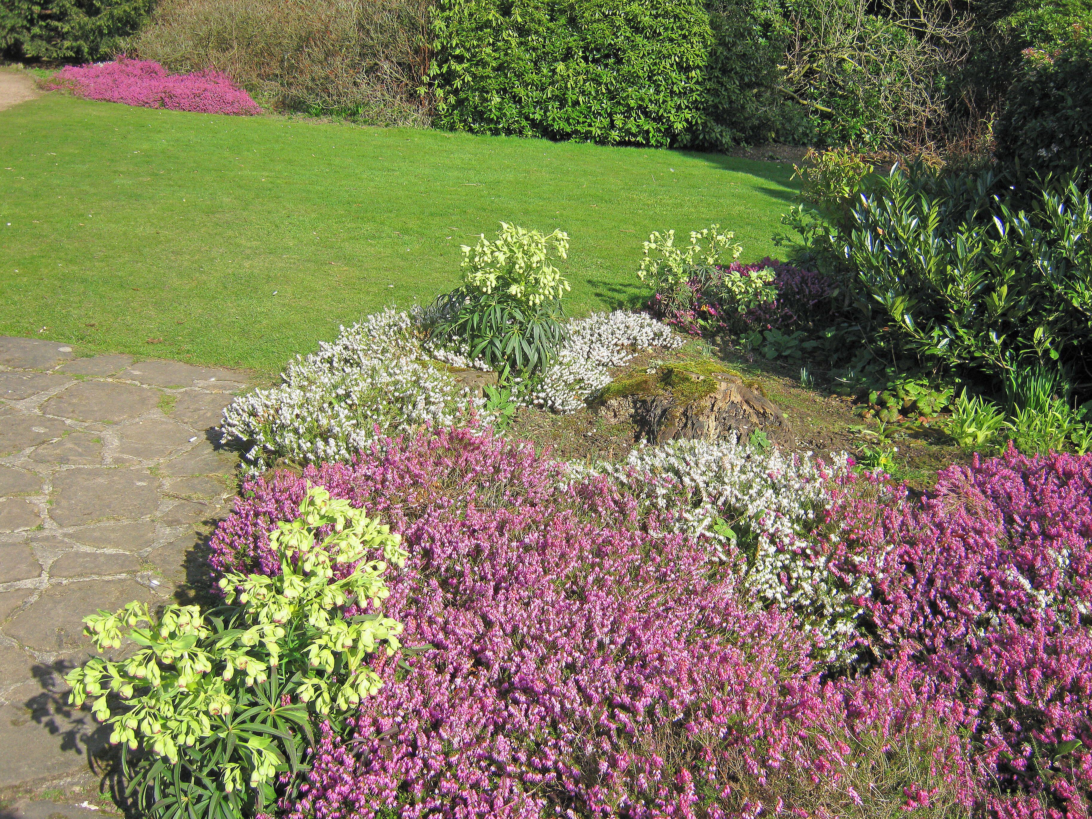 Um jardim bem cuidado com diversas plantas floridas, um caminho de pedra e um gramado.