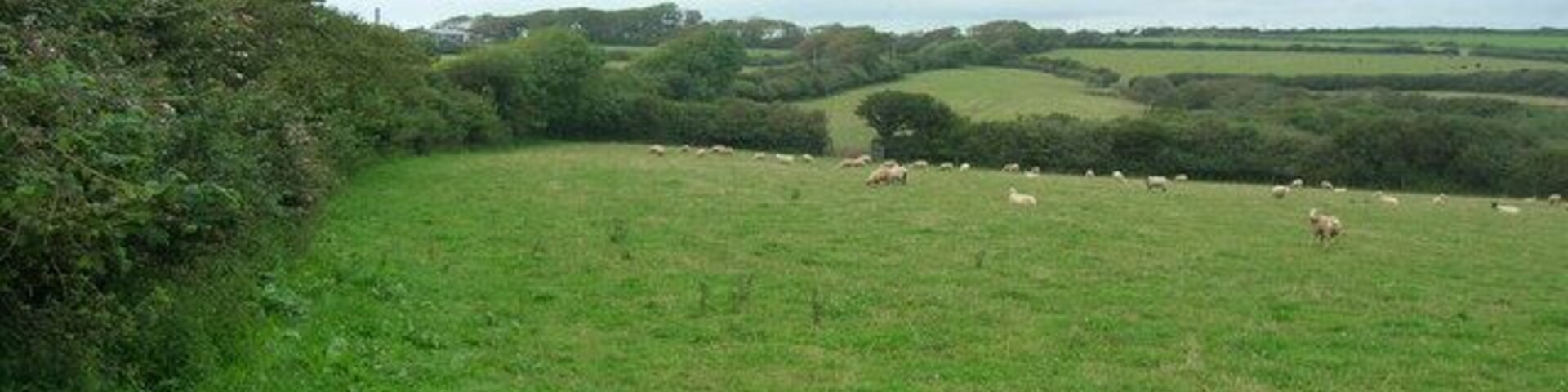 Farmland near Tregeare Rounds The main road runs along on the other side of the hedge here. Hendra Farm is up on the left in distance.
