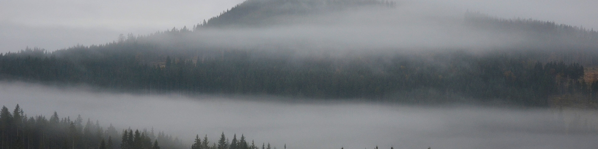 Horská Kvilda - hora Sokol