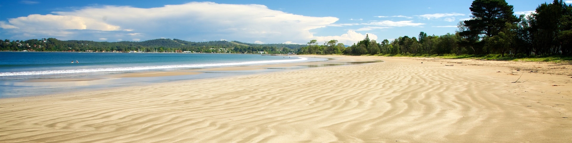 Batemans Bay which includes general coastal views and a beach