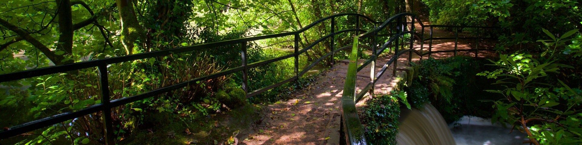 Lymm caracterizando um rio ou córrego, uma ponte e um jardim