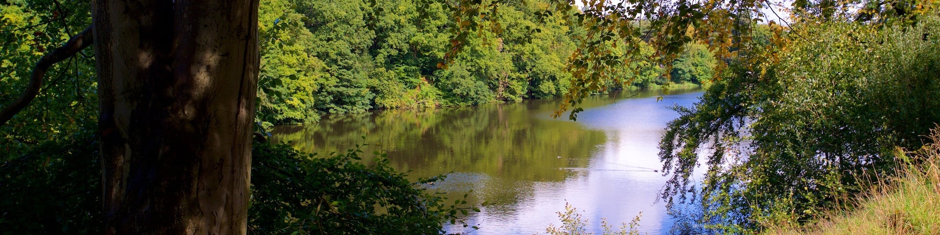 Lymm showing a river or creek