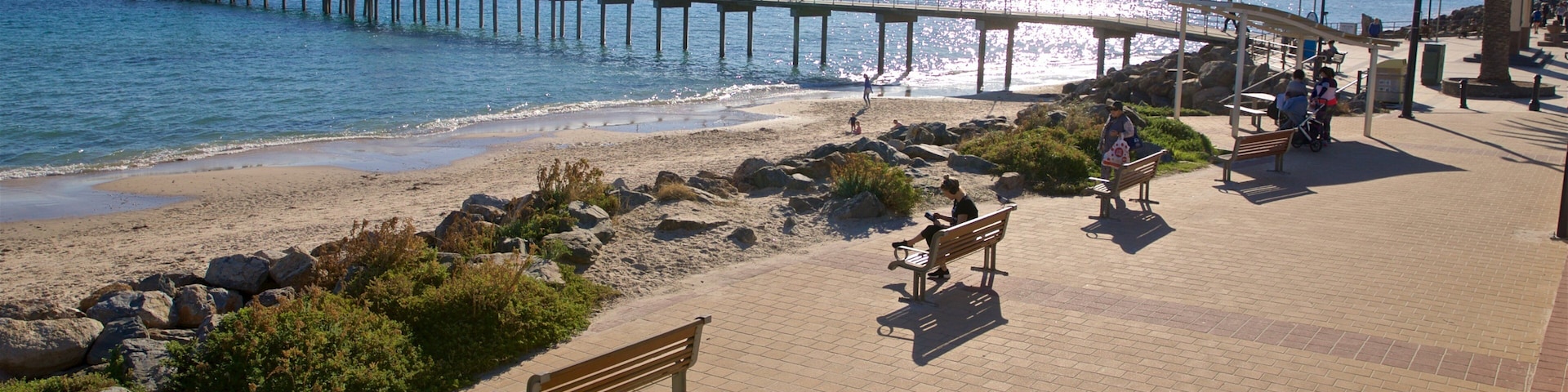 Brighton Beach featuring a beach and general coastal views