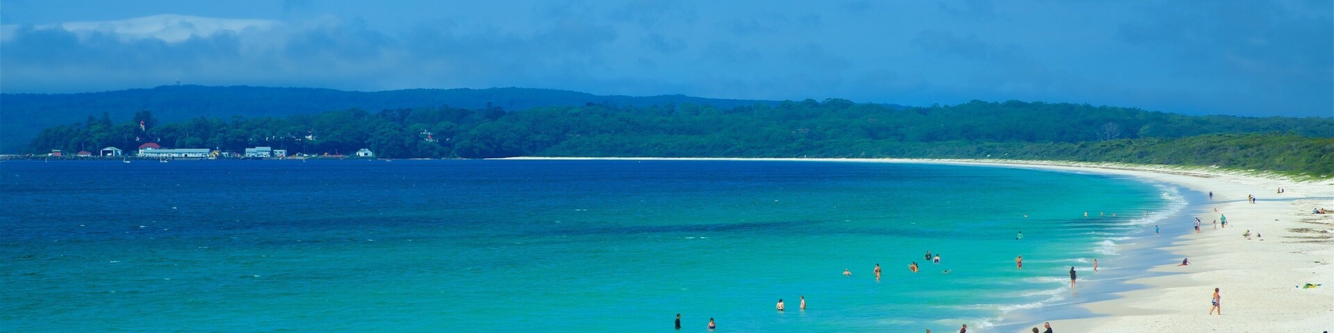 Huskisson showing a sandy beach and general coastal views as well as a large group of people