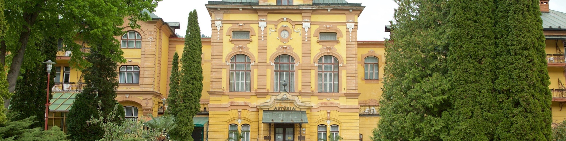 Bardejov which includes a garden