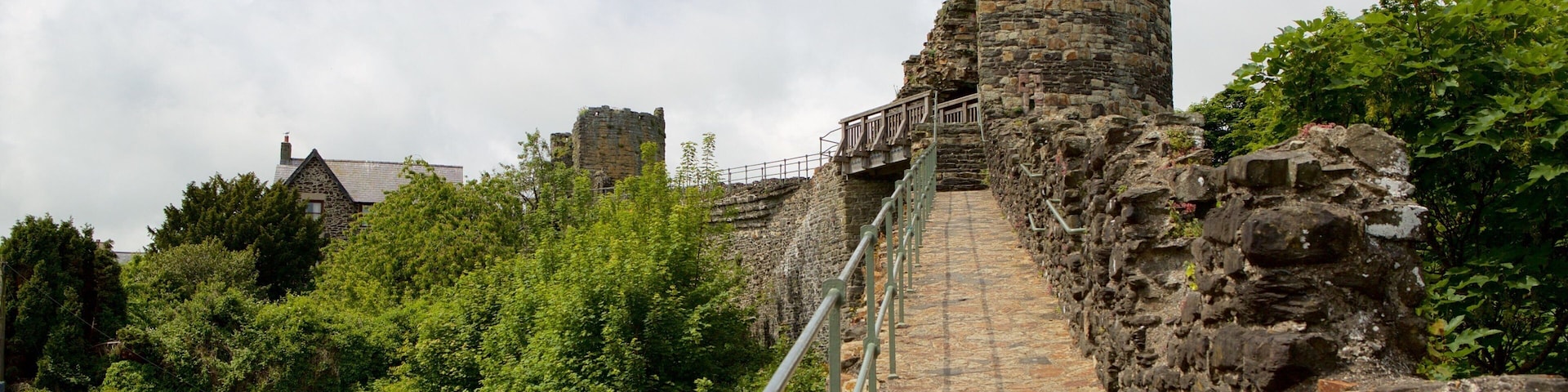Conwy showing chateau or palace, heritage elements and a ruin