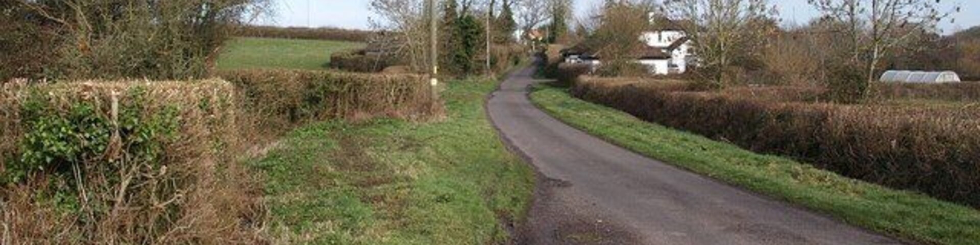 Uma estrada rural estreita serpenteando por um campo com sebes e algumas casas ao longe.