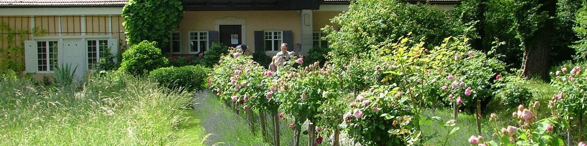 Rosenbaumallee vor dem Gasteiger Haus