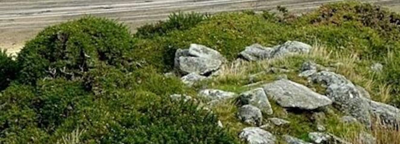 Above the pylons On the north slope of Foel Ganol, we are above the three lines of pylons that stride across this landscape, looking towards Penmaenmawr and Great Orme. In the foreground are the remains of one of the iron age settlements.